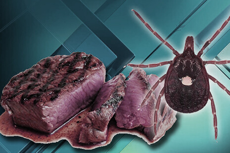 Red Meat Intolerance- Can You Be Allergic to Red Meat?