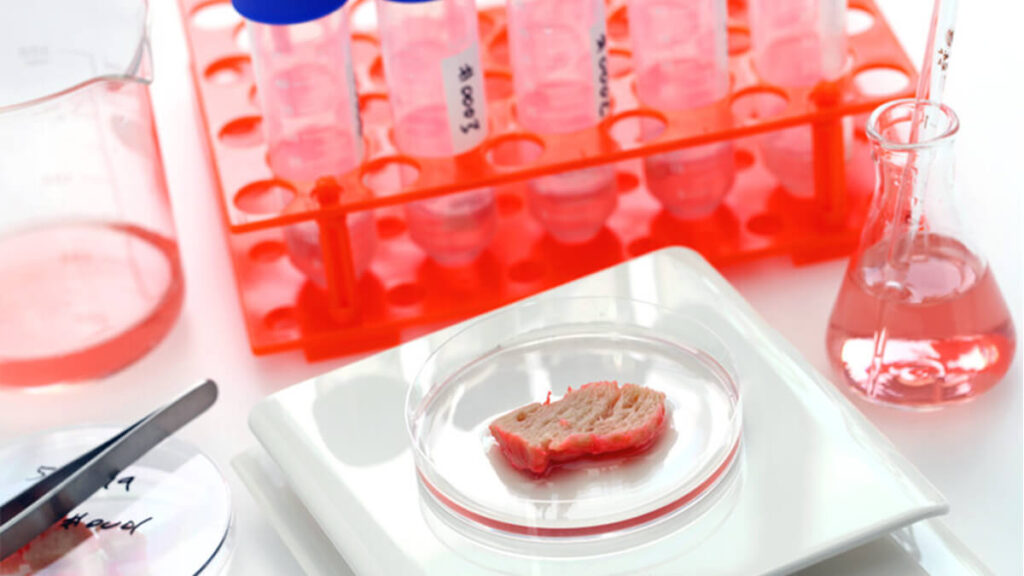 What is “cultured meat” and why it might be a game-changer for the future.